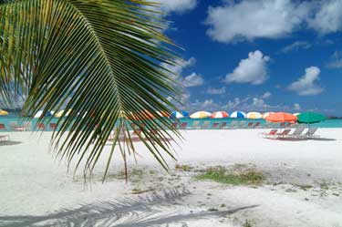 St. Maarten and St. Martin Beaches (Everything SXM)